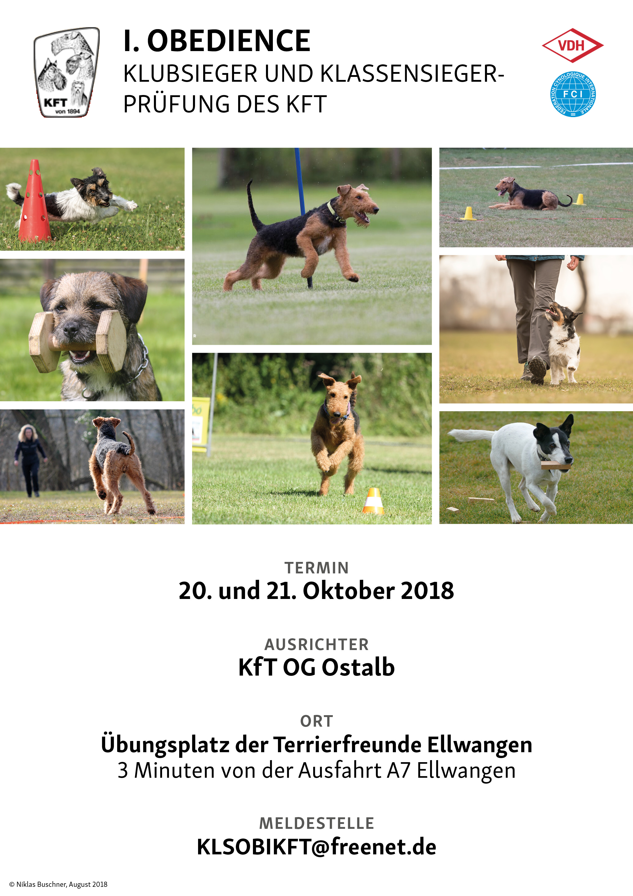 Klub für Terrier e.V. von 1894 :: Sie wünschen sich einen Hund ...